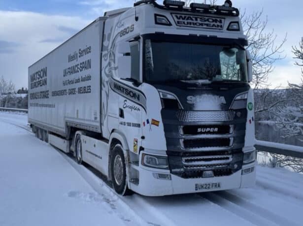Simplify Your International Move - Watson European